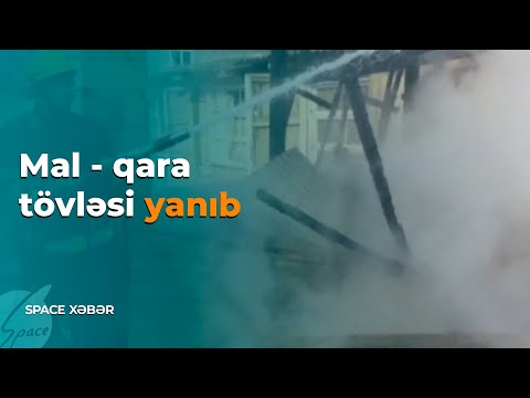 Göyçayda mal - qara tövləsi yanıb - Space Xəbər / Space TV