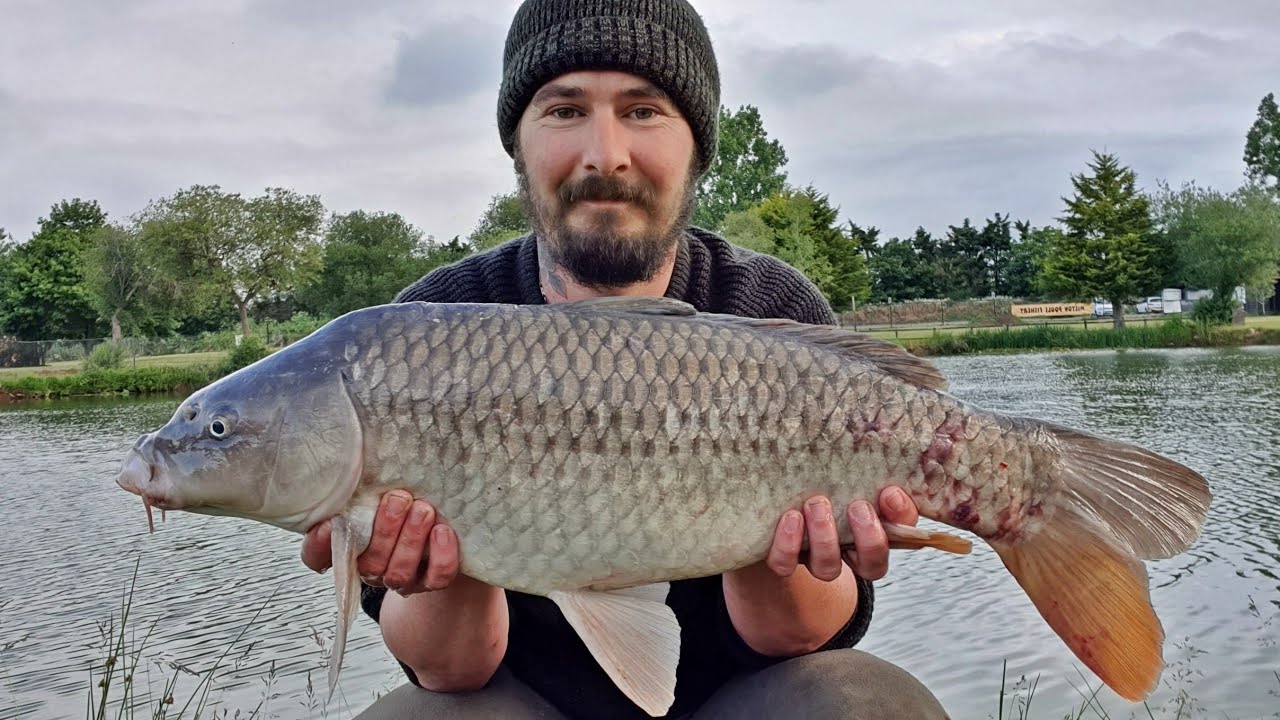 Carp fishing at Milton Pool fisheries - YouTube