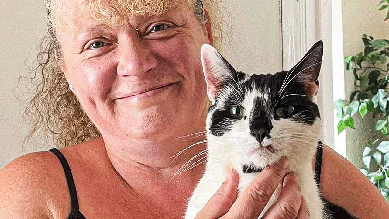 Woman 'mortified' after her pet cat starts stealing floral displays ...