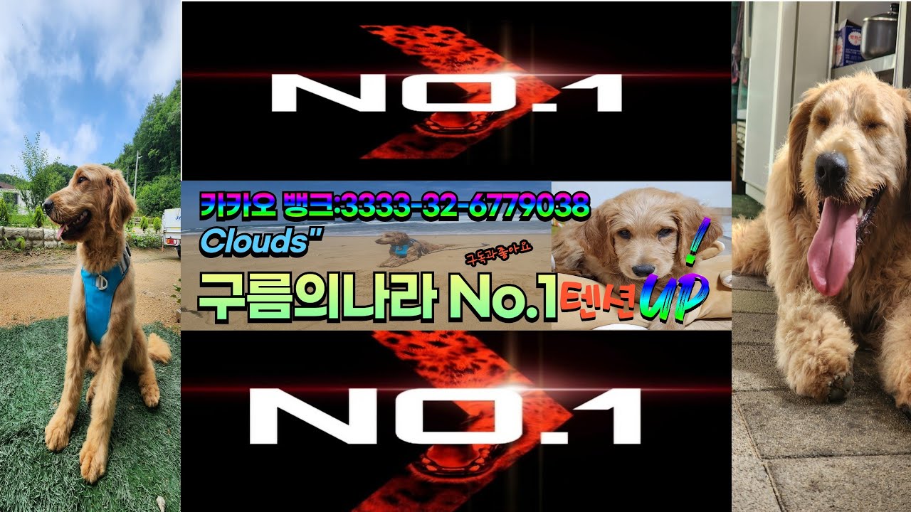 구름의나라🔖NO.1🌈 라이브 방송#2025##02~14#⚠️발렌타인 데이 모하니⚠️ - YouTube