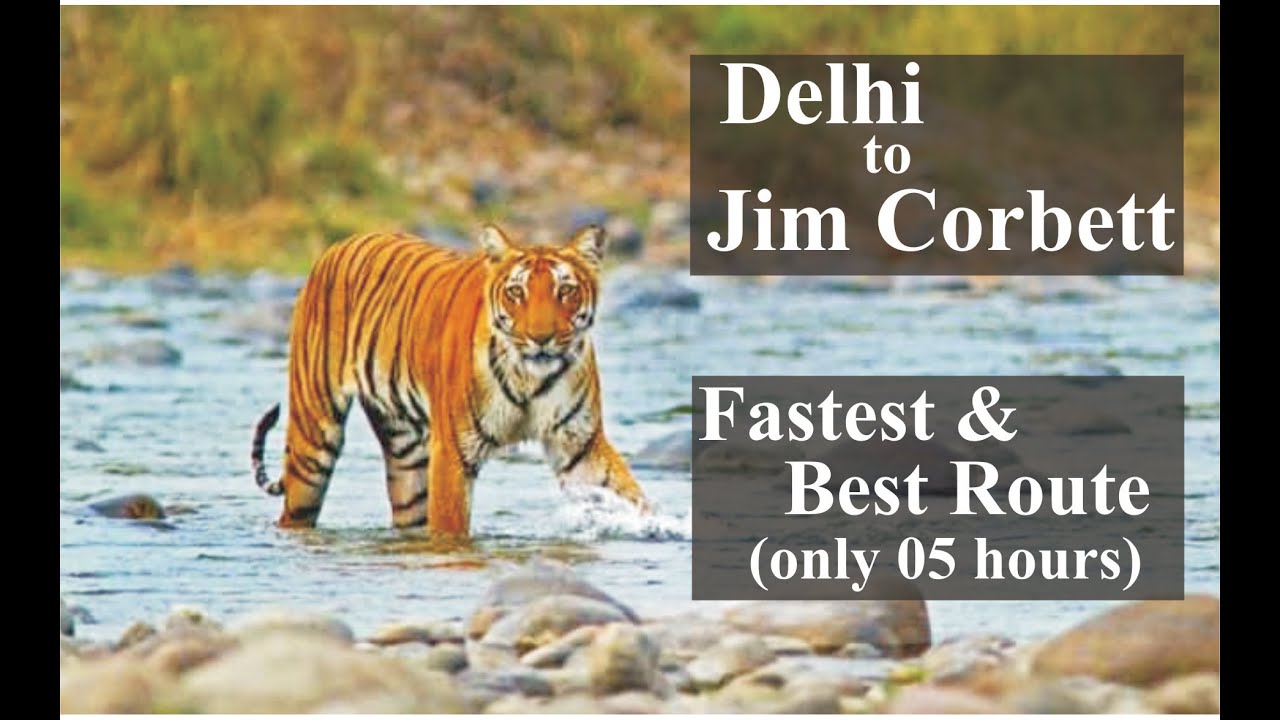 Delhi to Jim Corbett (Ram Nagar) || The Fastest Route || With Full ...