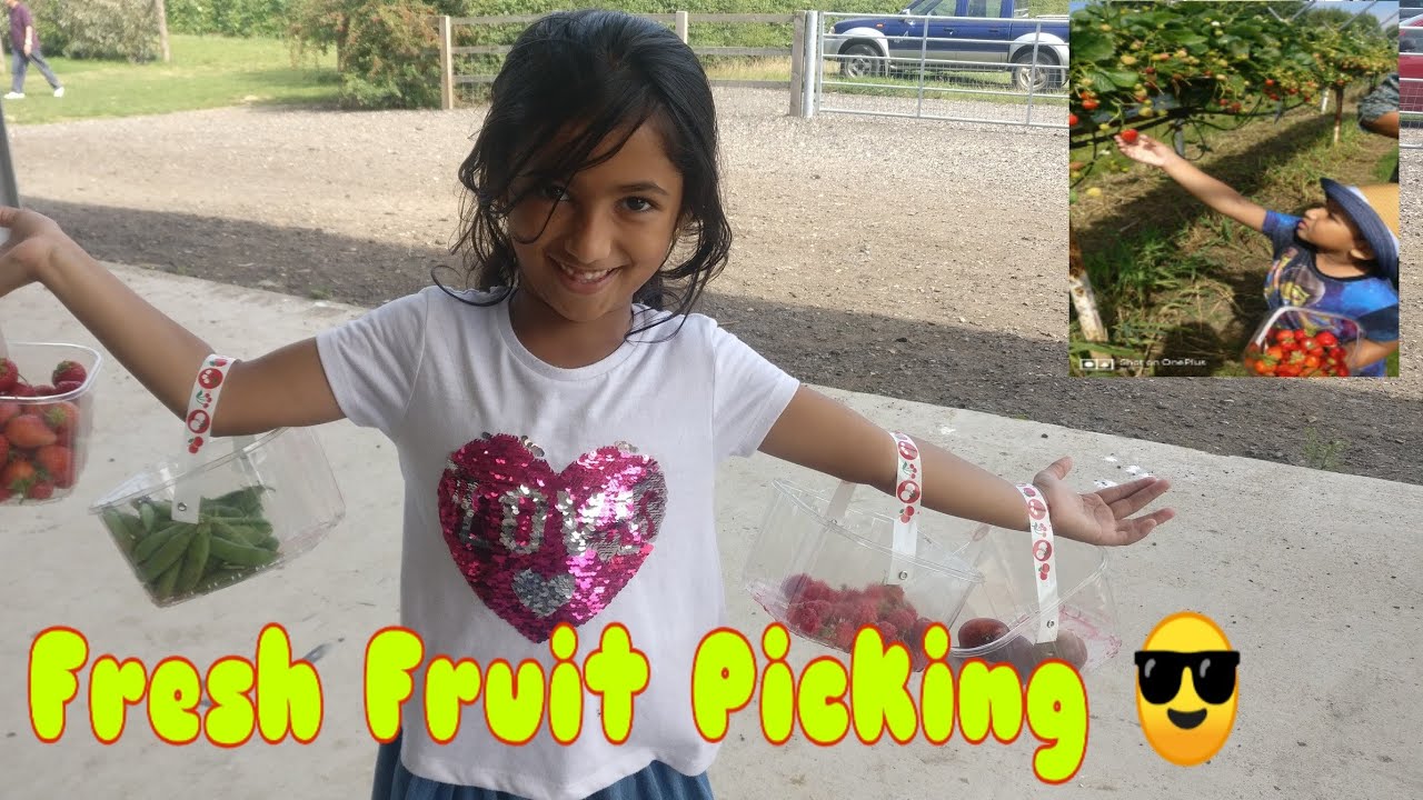 Visit to Copas Farm | Picking Fresh Fruits | Raspberry Smoothie |Video ...