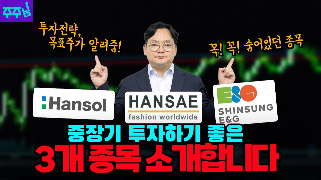 중장기 투자하기 좋은 종목 3개 소개합니다 합본 L 한세실업 한솔제지 신성이엔지 삼성전자 엔비디아 중장기투자 중장기투자종목 중장기투자 주주님 김종효