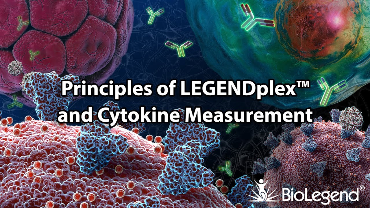 Principles of LEGENDplex™ and Cytokine Measurement - YouTube