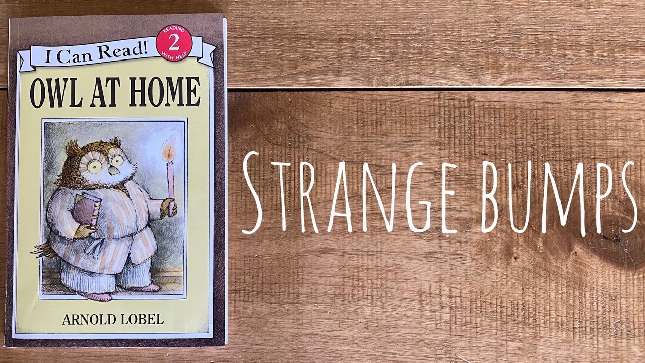 Owl at Home - Strange Bumps - Children's Book by Arnold Lobel - YouTube