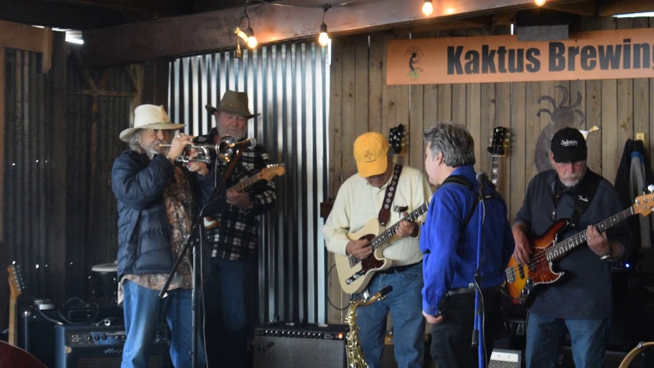 Ron Lipton & the Kaktus Kats ~ Sweet Home Chicago - YouTube