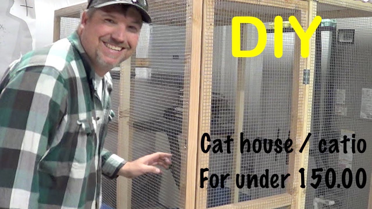 Amazing DIY, Cat House/Catio for under 150.00 stray Cat and Kittens ...
