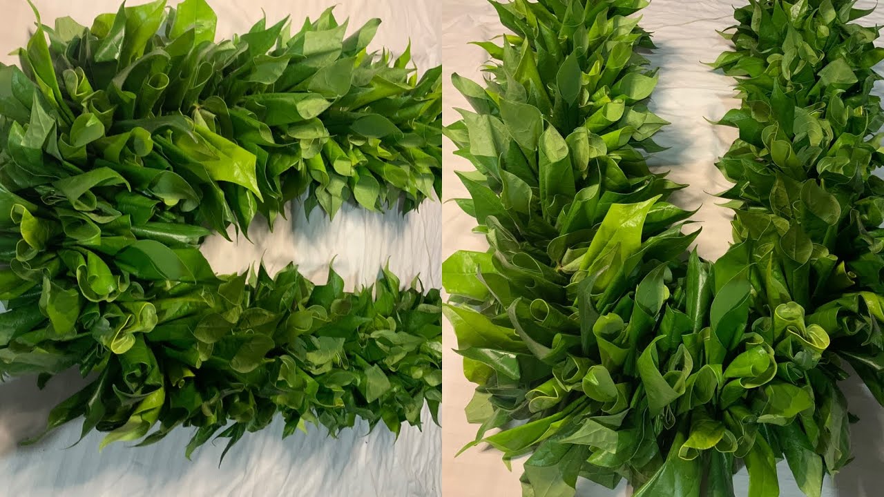 BETEL Leaves garland for lord Hanuman//Betel leaf garland - YouTube