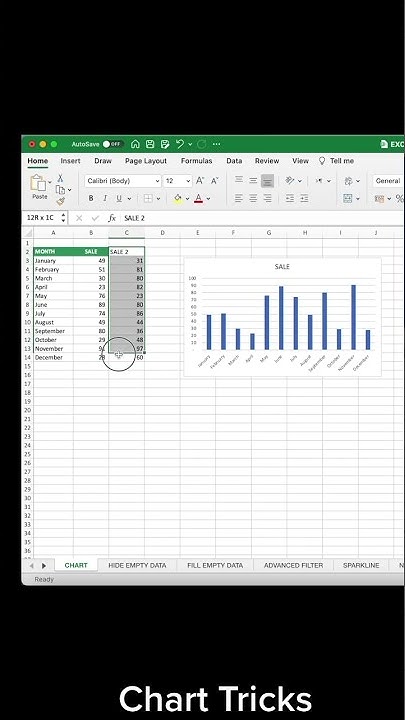 Excel Chart Tricks #excel #exceltips via excel.shorts tiktok - YouTube