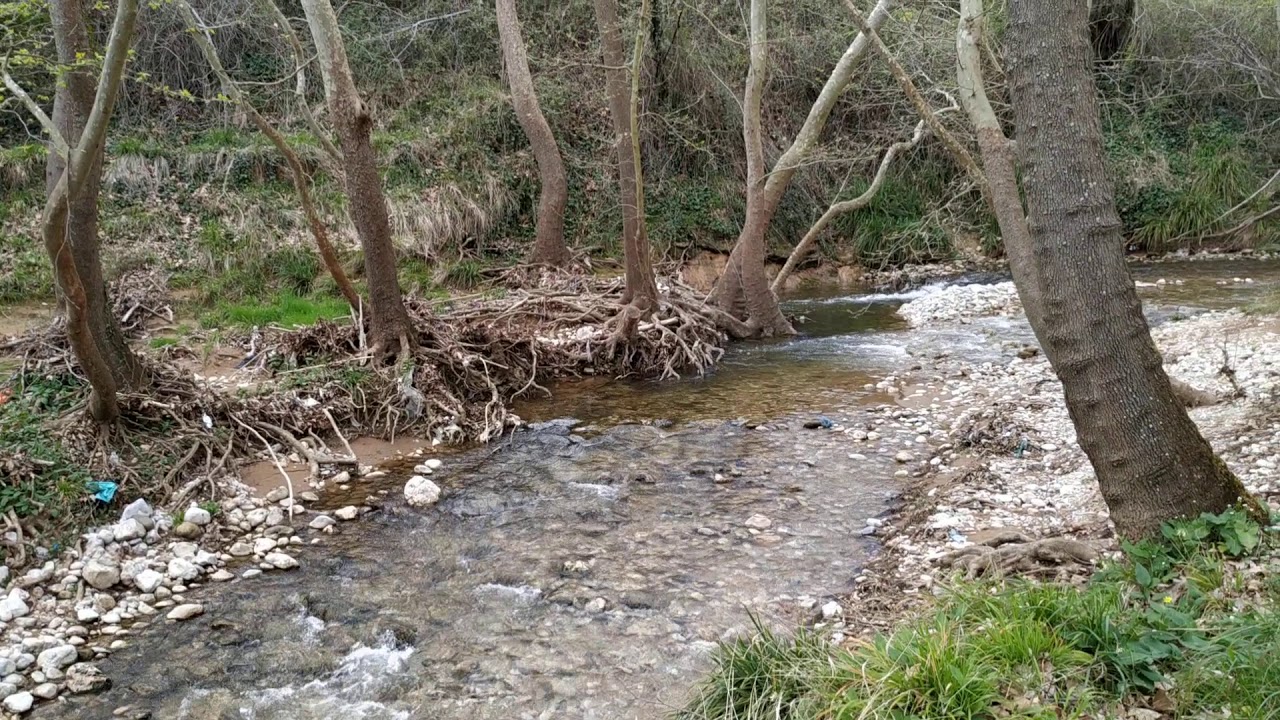 Κηφισός Ποταμός Αθήνα - Κηφισιά / Kifisos River - Kifisia - YouTube