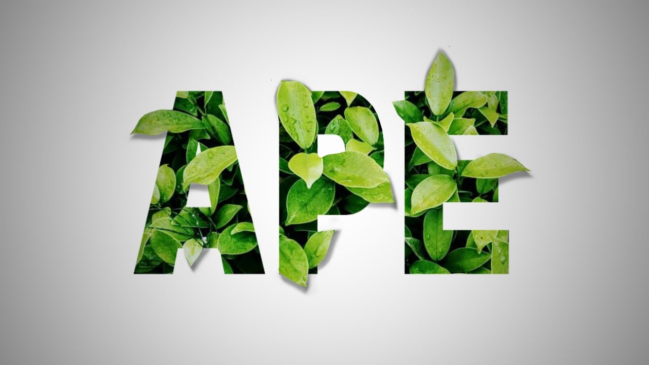 How to Make Leaf Typography in Picsart - YouTube