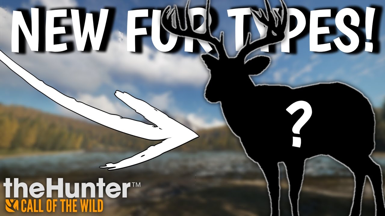Brand NEW Fur Variations are COMING to COTW!! - What Can we Expect ...