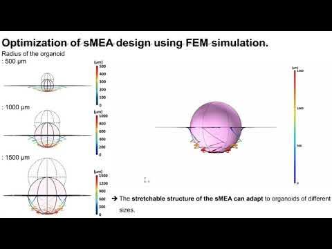[저널미팅] Highly Stretchable 3D Microelectrode Array - YouTube
