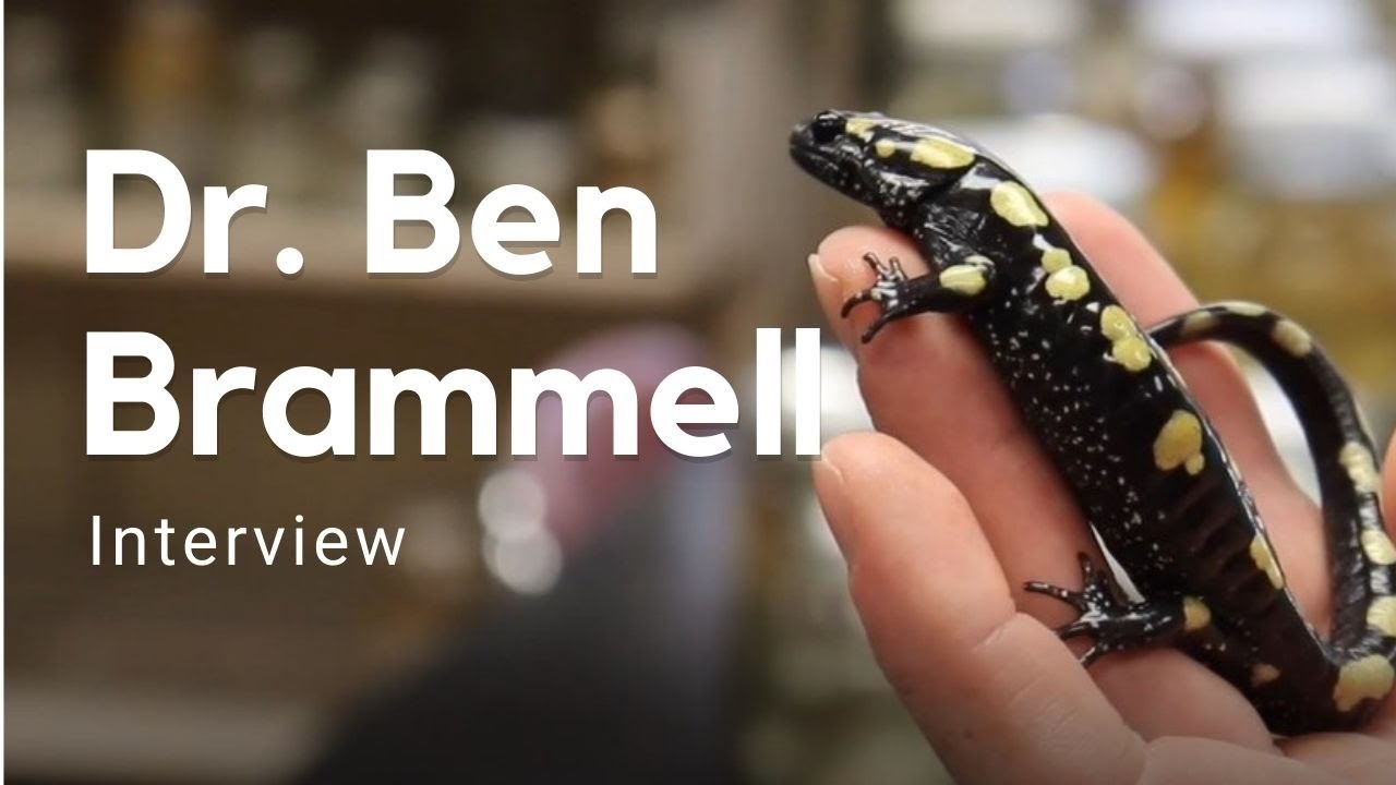 Interview with Dr. Ben Brammell from Asbury University - YouTube