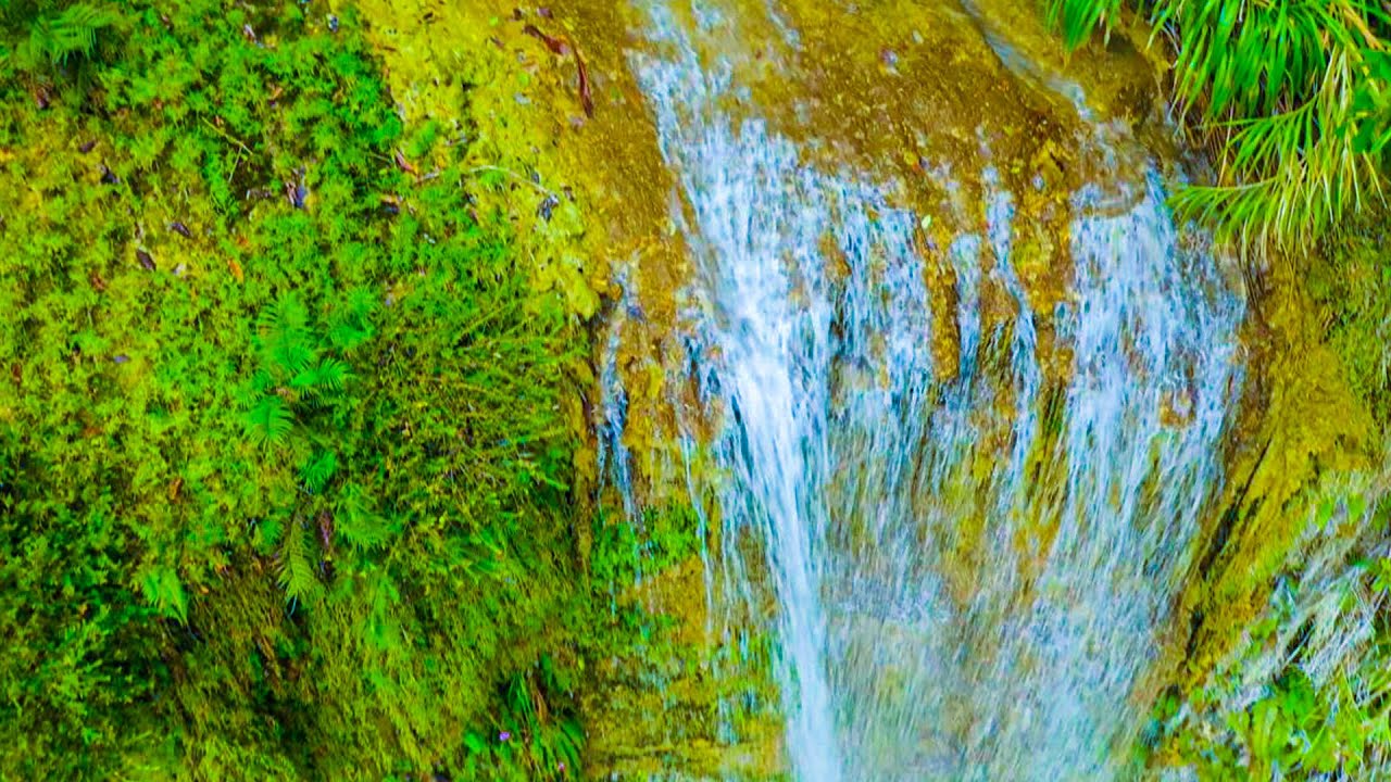 Music Emchisun : Gentle melodies help to refresh the spirit, clear the ...