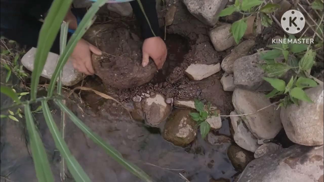 wb mus de kaus suab los noj tsi muaj li - YouTube