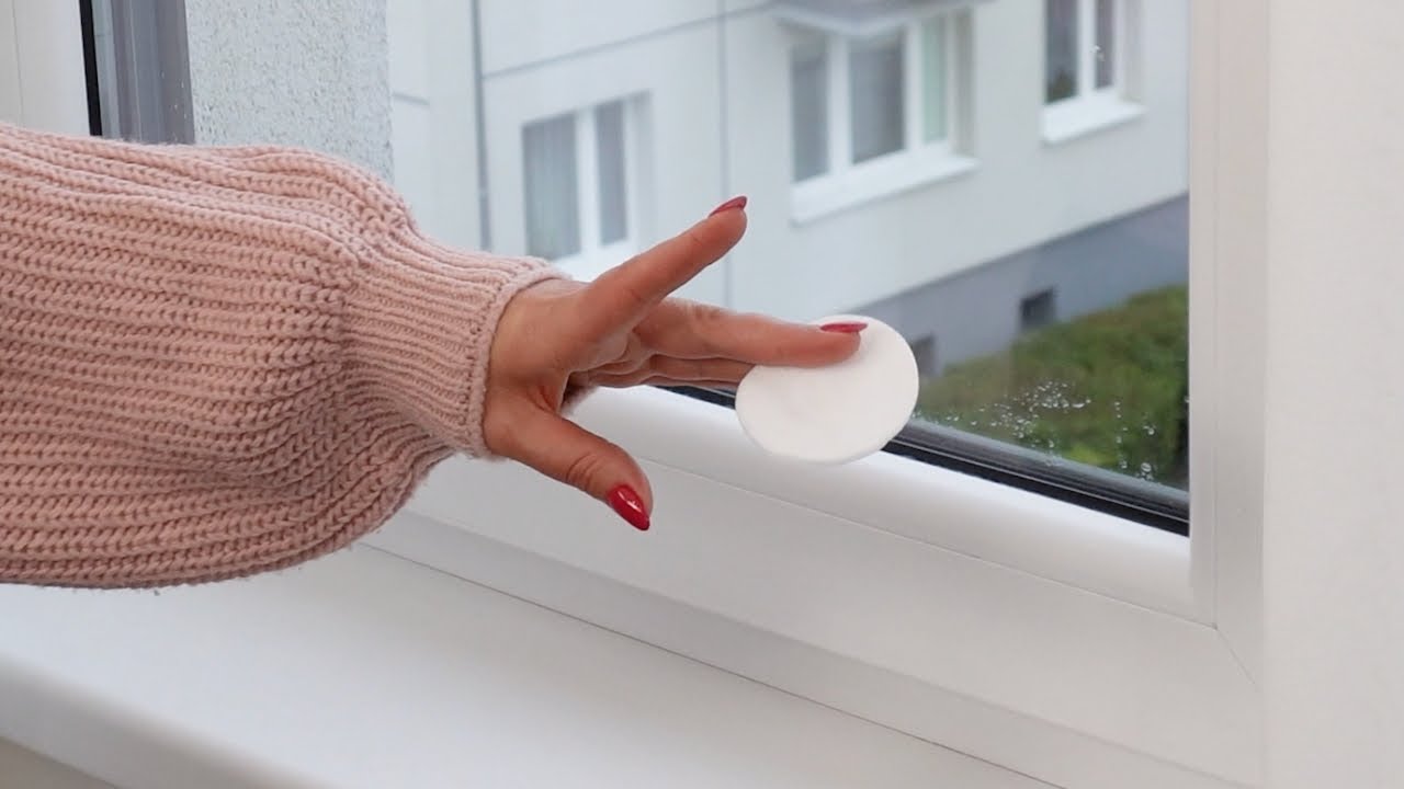 I Use a Cotton Pad to Eliminate Insects by Wiping My Window Frames - YouTube