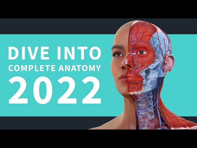 Adam Interactive Anatomy Online Complete Anatomy: Why You Should Get