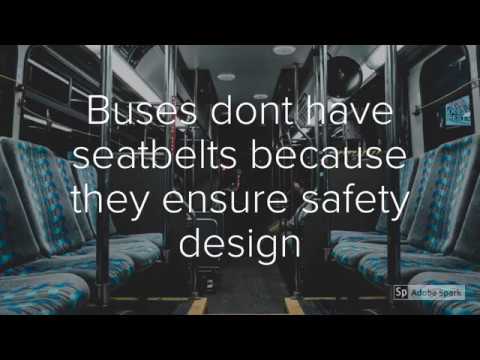 Top 10 Facts about Bus - YouTube