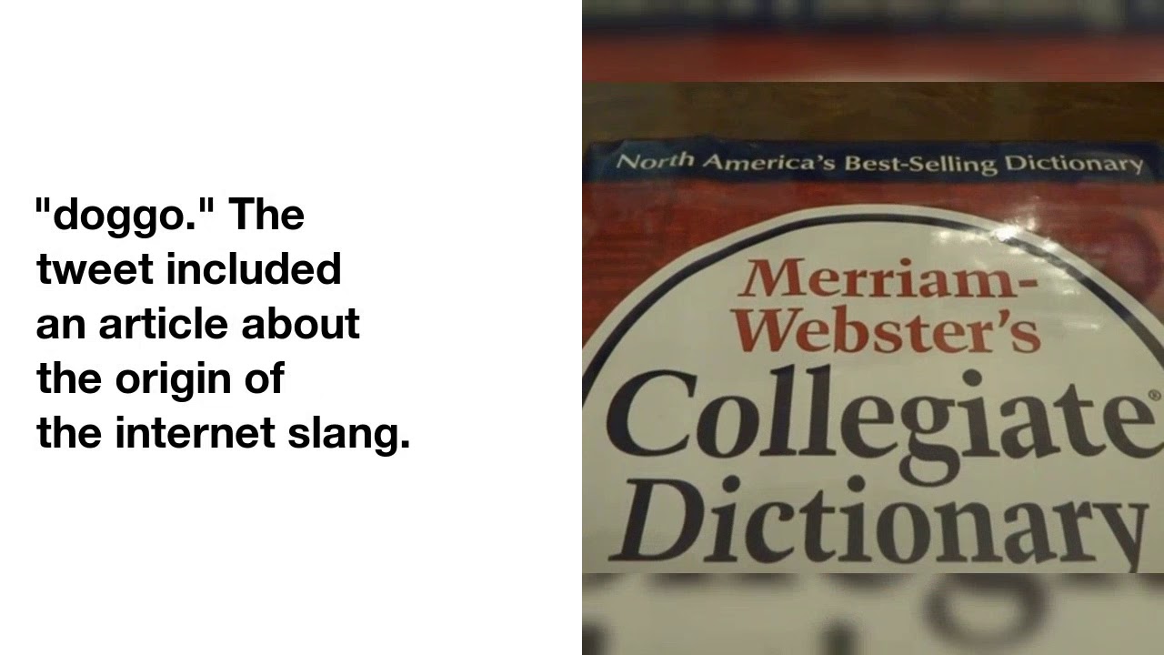 Merriam-Webster Tweets About 'Doggos,' Gets Flooded With 'Good Boys And ...