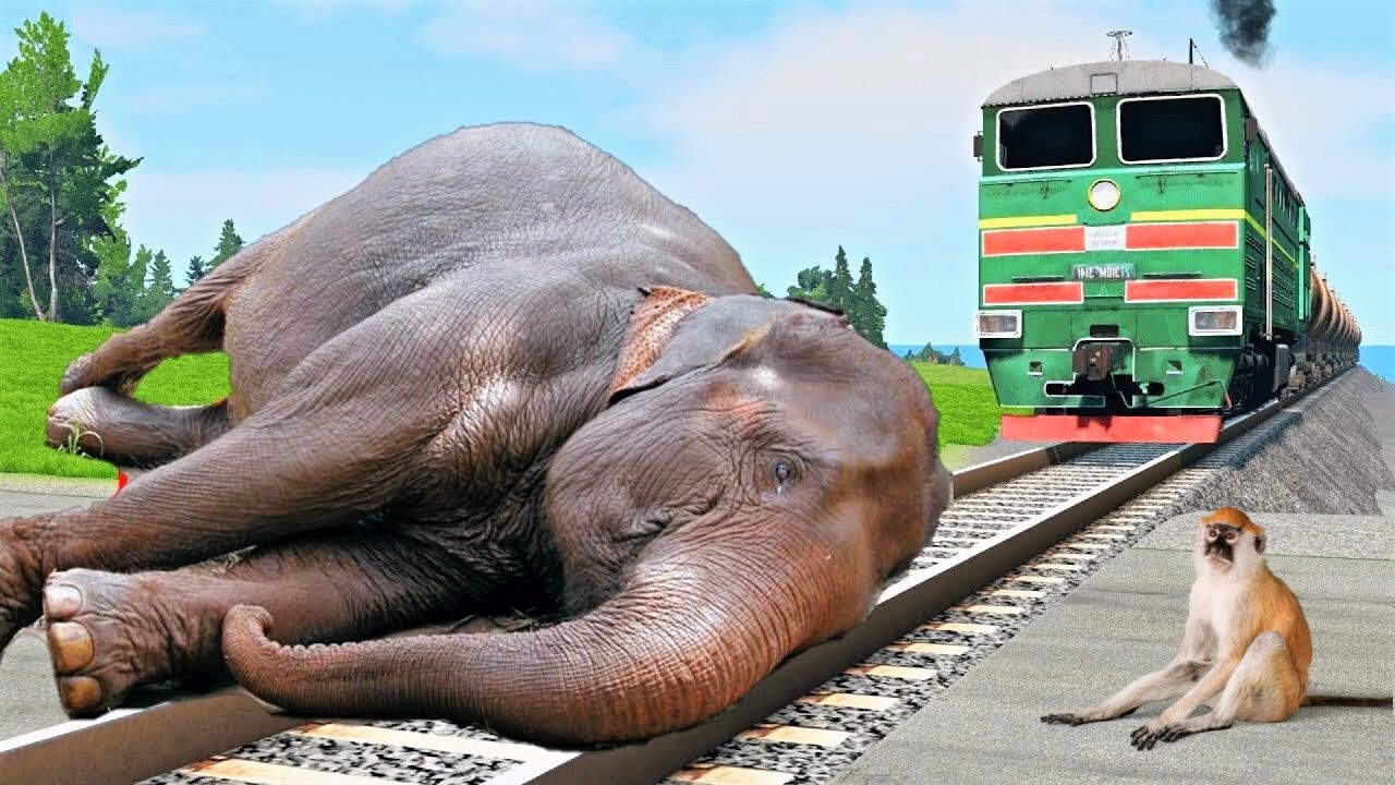 Crazy Elephant Sleeping on The Train Track | Train vs Animal | Train ...