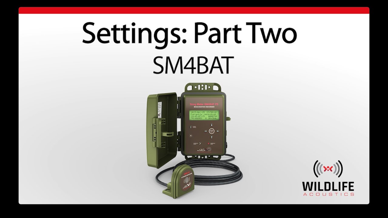 Song Meter SM4BAT Part 4/8: Settings #2 | Bat Sound Recorder - YouTube