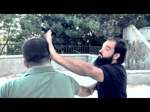 Shaolin Kung fu Tao of Mirror İntro