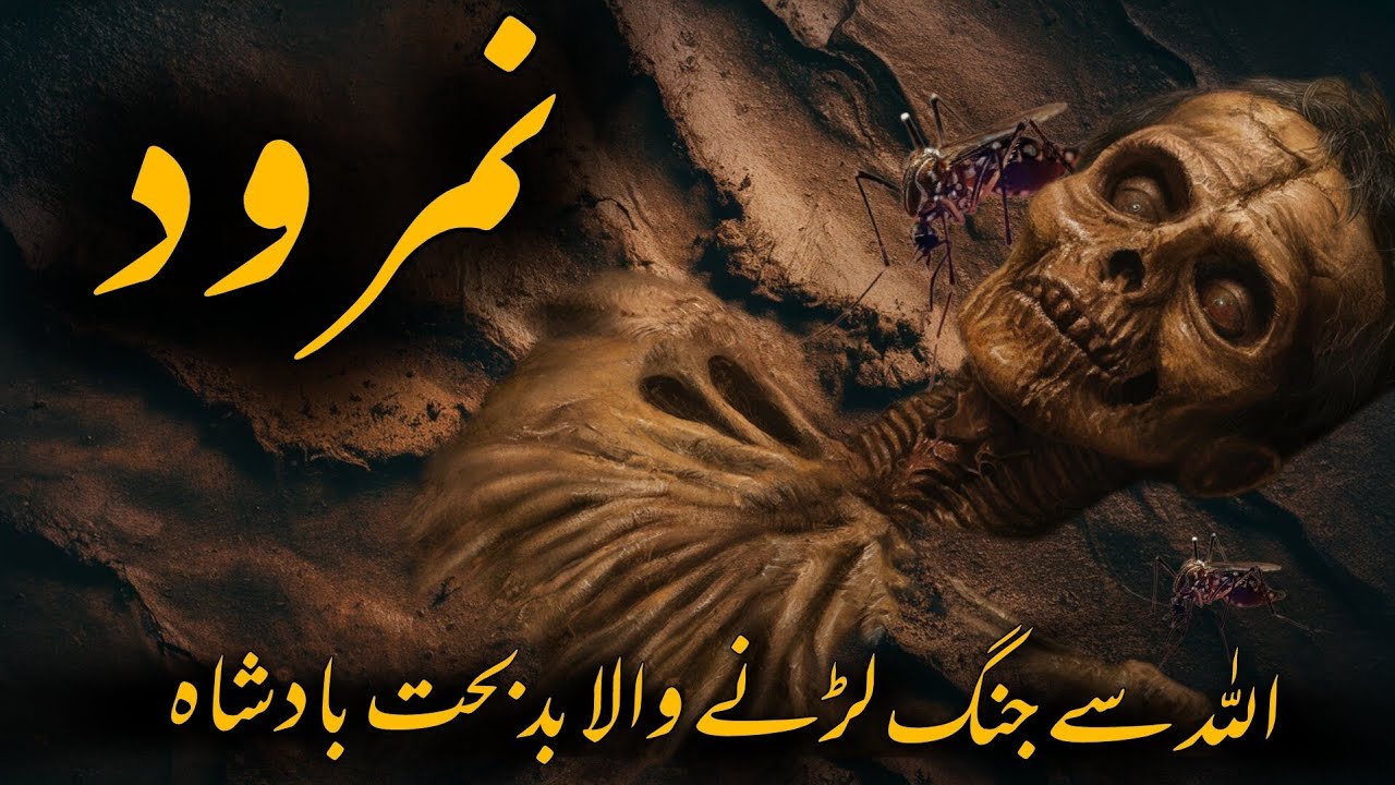 Namrood | namrood or hazrat ibraheem as ka waqia | namrood ki khudai ka ...