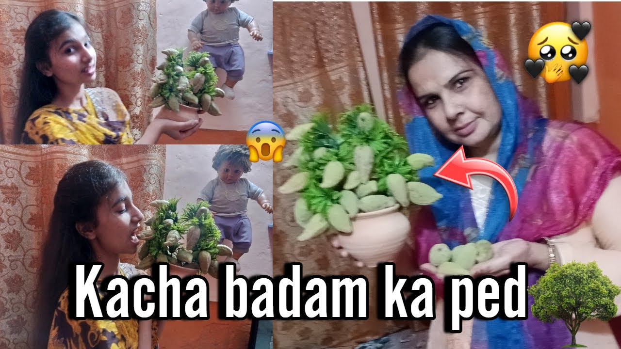 Kacha badam ka ped 🤣||Jiya_Mahashay - YouTube
