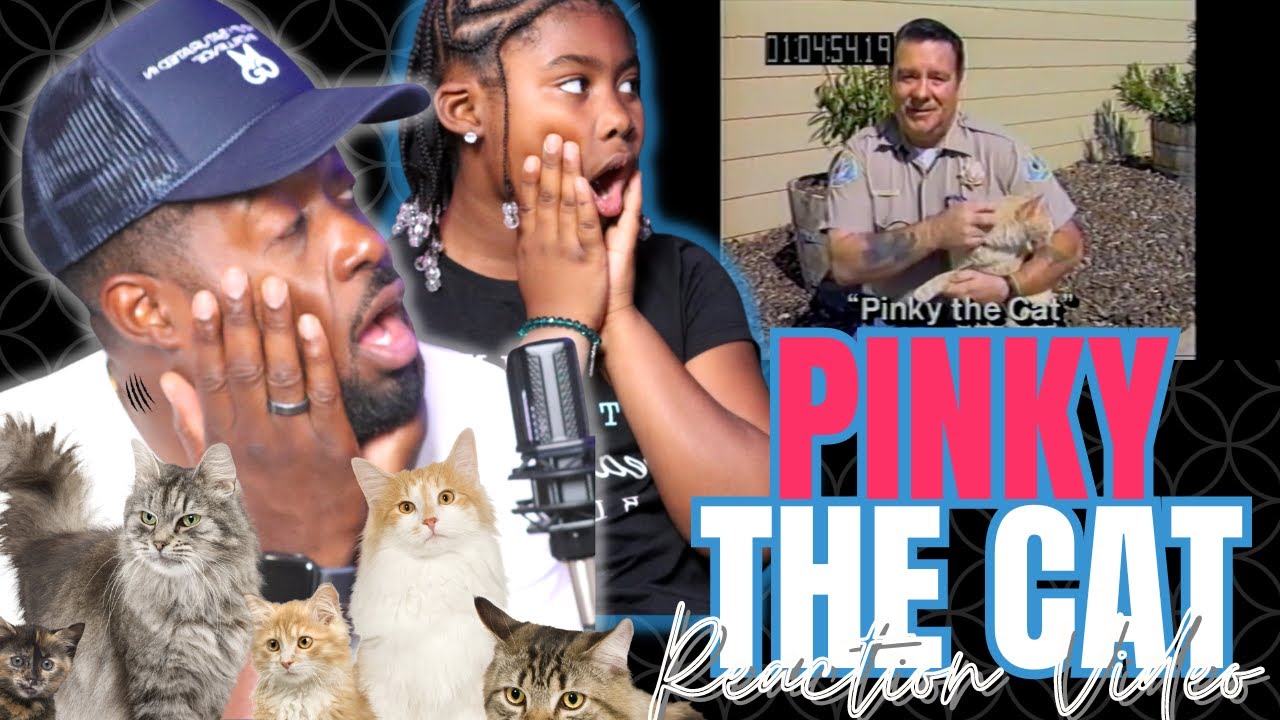 The Real Reason Why Pinky The Cat Reacted This Way ‼️ || Daddy Daughter ...