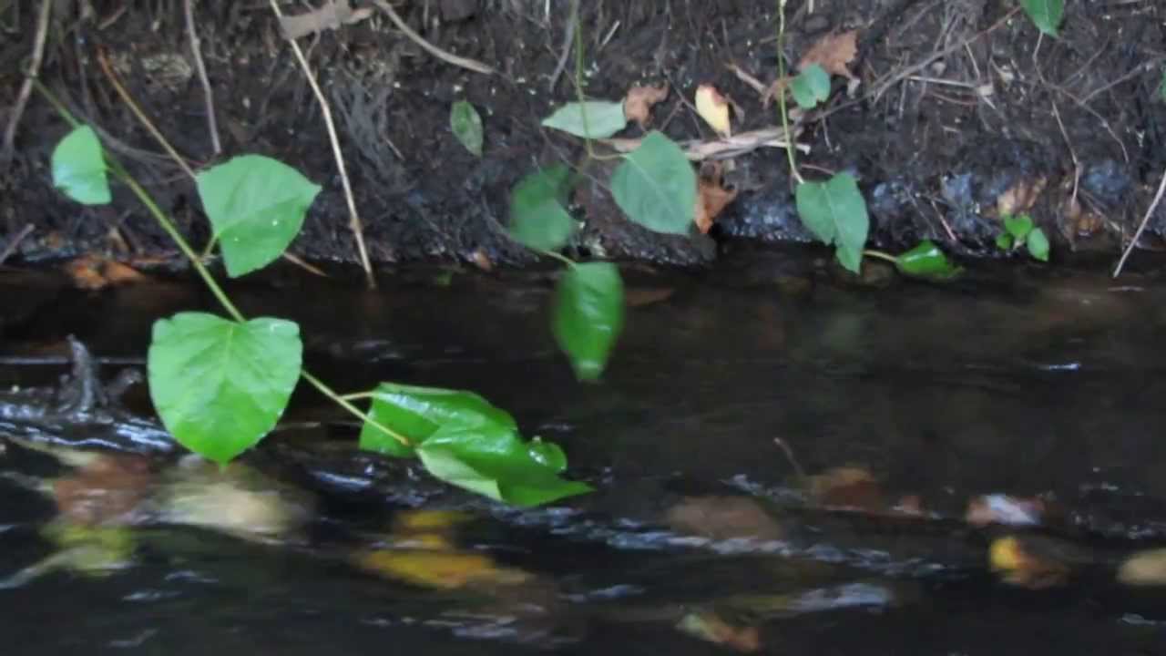 Manhan River - YouTube