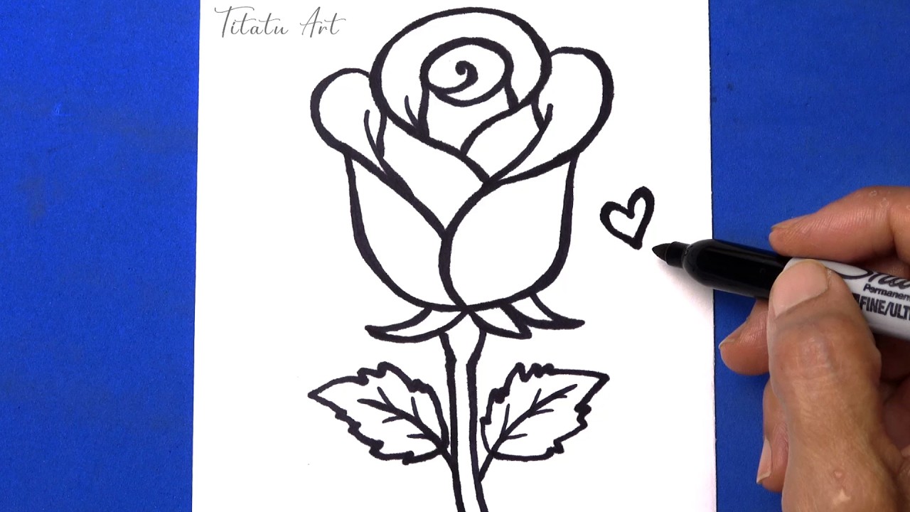 How to Draw a Rose step by step | Easy Drawing Tutorial - YouTube