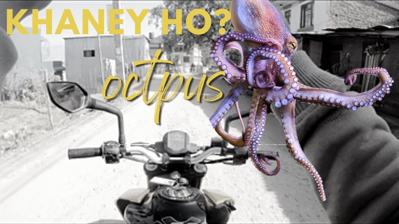 TESTING OCTOPUS 🥵//MY FIRST MOTO VLOG😂//@rozilthapavlogs - YouTube