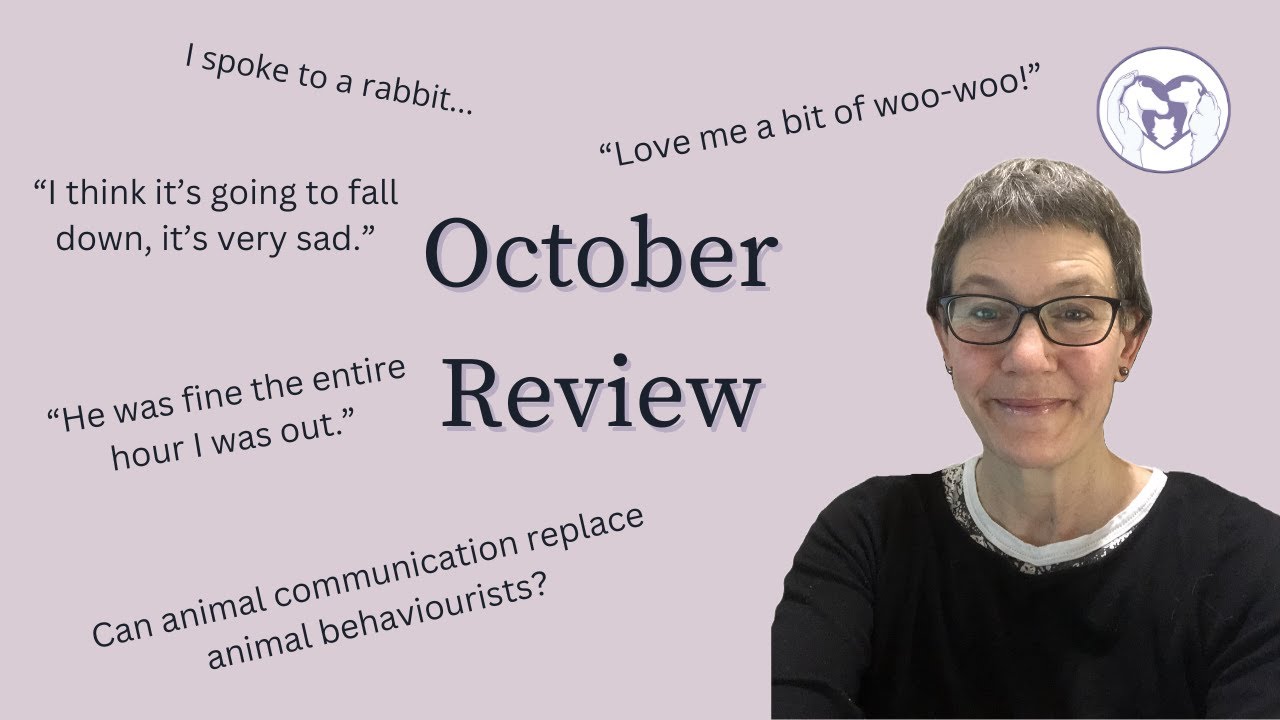 October Review - YouTube