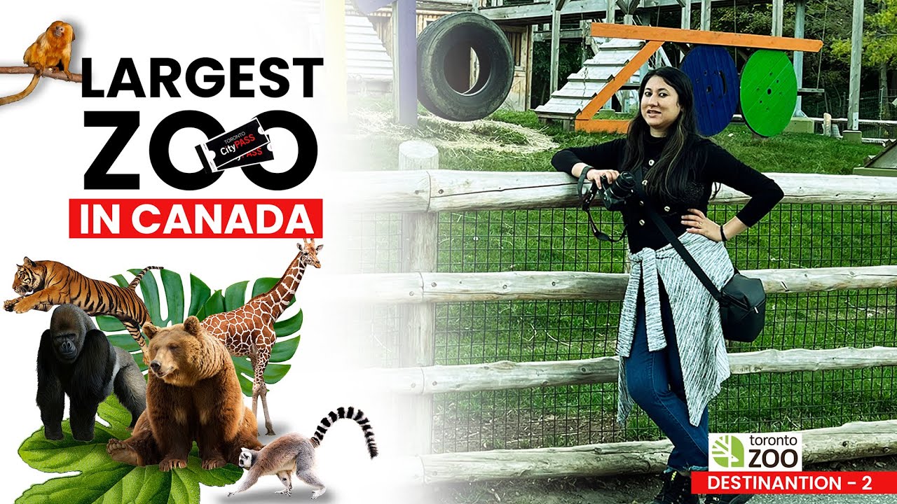 Toronto Zoo Full Tour - Complete Info of Largest Zoo in Canada - YouTube