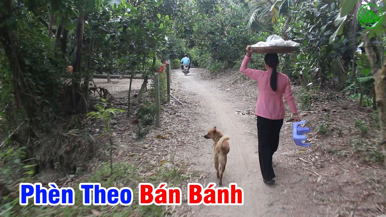 Chú Chó Phèn Ham Vui Chạy Theo Chị 6 Bán Bánh Khắp Xóm Quê # ...