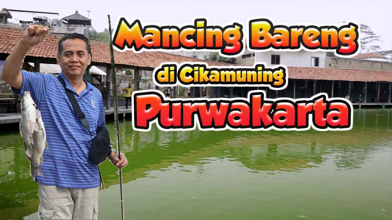 Mancing di Pemancingan Cikamuning Purwakarta - YouTube