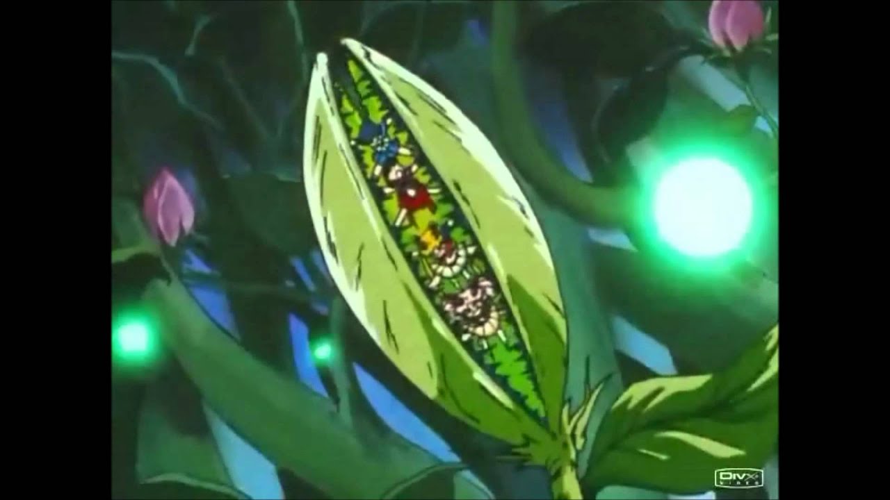 Oak Evolution Multilanguage - YouTube