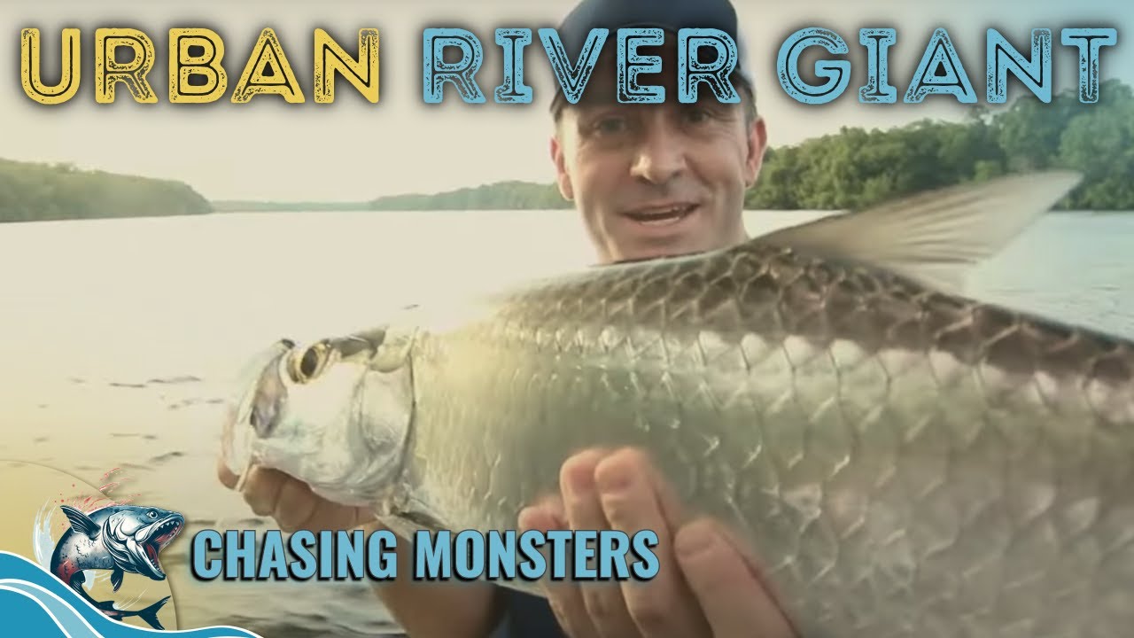 Mangrove Mystery: What's Next? - Chasing Monsters - Fishing Show - YouTube