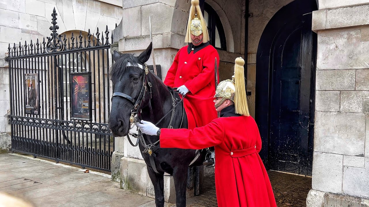 Every 900 Seconds, This King’s Guard Inspects Horses - YouTube