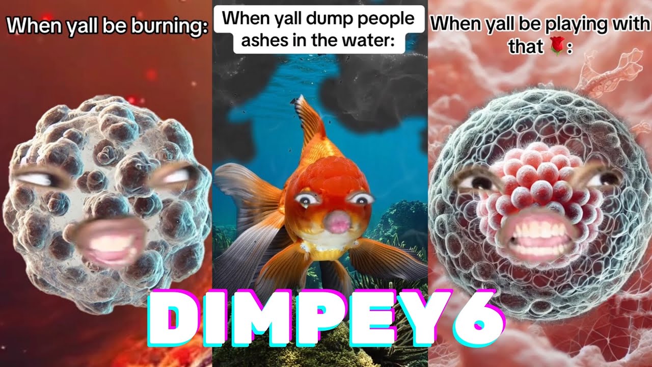 *2+ Hour* Best Dimpey6 Funny Videos | Dimpey6 Shorts Videos 2025 ...
