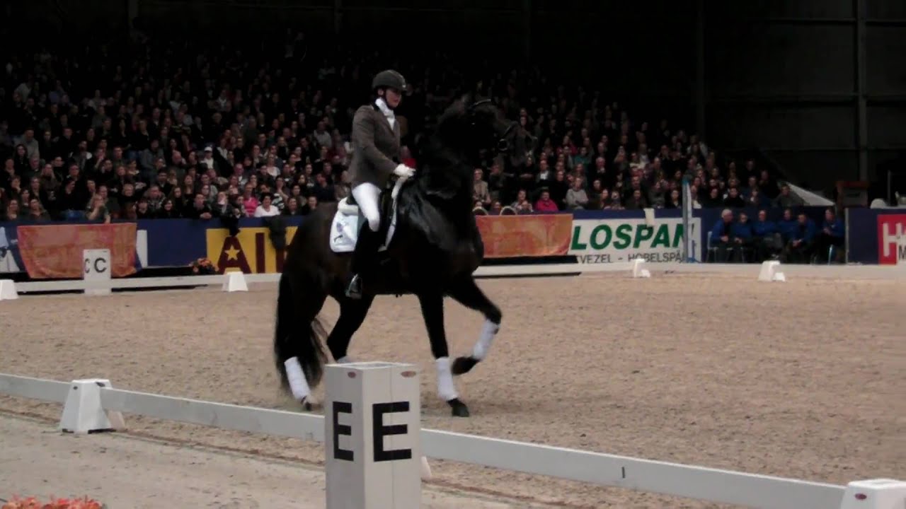 Apache 2010 Stallion Show Part 1 of 4 - YouTube