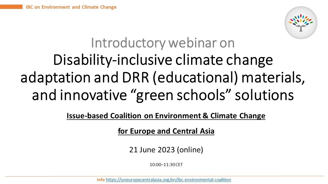 Introductory webinar on Disability-inclusive climate change adaptation ...