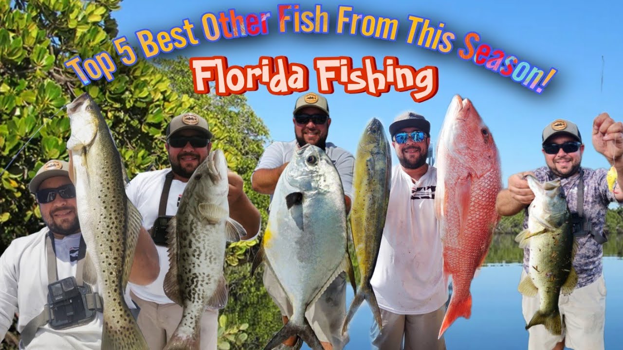 Top 5 Best "Other" Fish From This Past Season! All Florida Fish! - YouTube