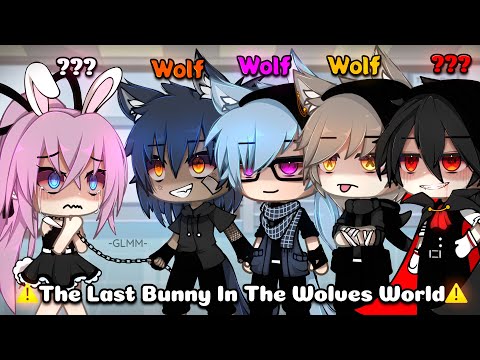 One Bunny In a Whole World Of Wolves || FULL MOVIE || GLMM-GLM || [Original] || Season 1