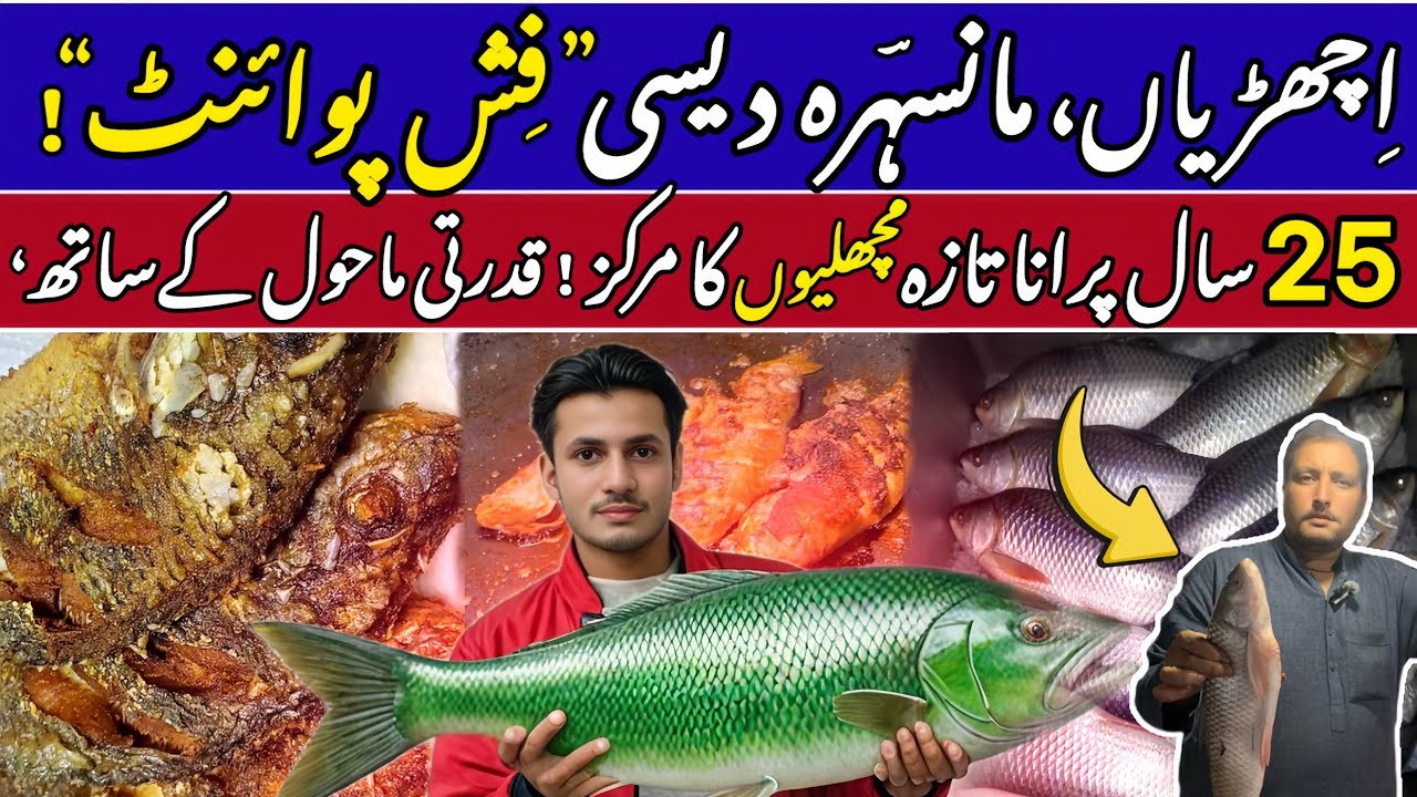 The Shinkiari Fish Point in Mansehra: Is It Really Famous? | Fish Point ...