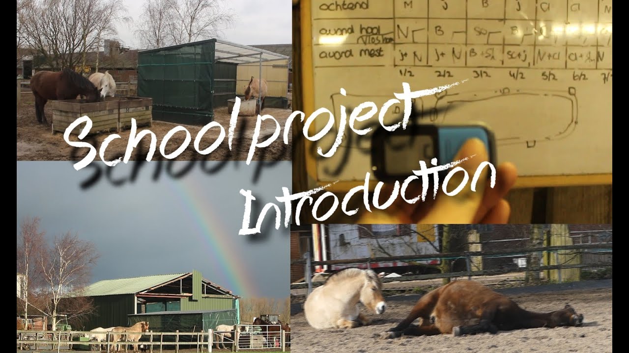 school project {introduction} - YouTube