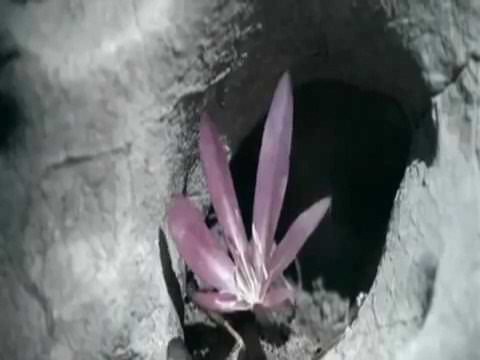 Nefes Vatan Sagolsun Keskin Nişancı Sahnesi!