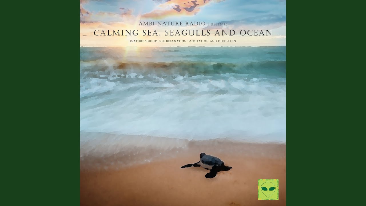 Calming Ocean Sounds with Relaxing Seagulls - YouTube