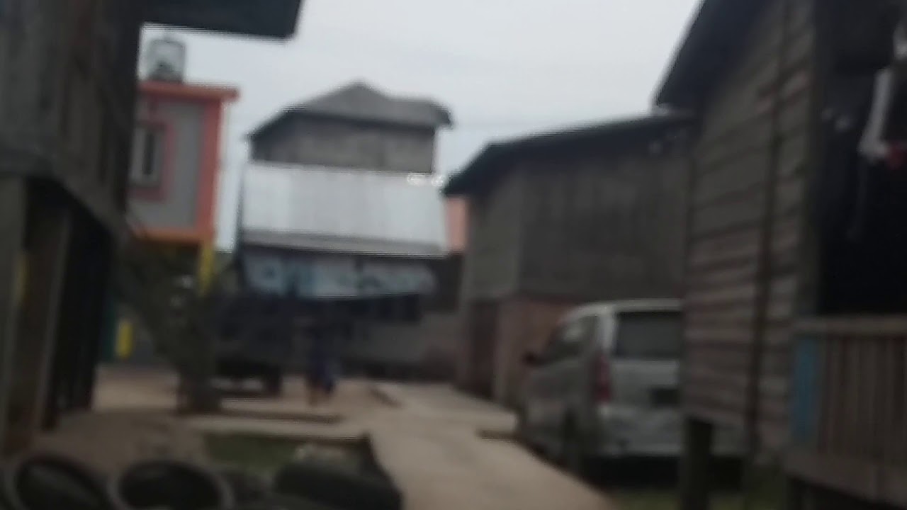 Org gila - YouTube